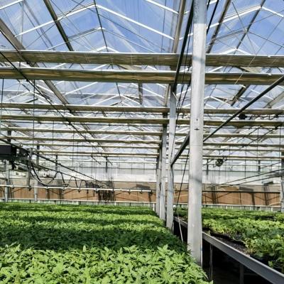 Cina Sistema idroponico serra in vetro multifunzionale JX-A00303 per una crescita ottimale delle colture in vendita