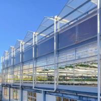China Glass Greenhouse Hydroponic Vegetable System for Maximum Water Efficiency for sale