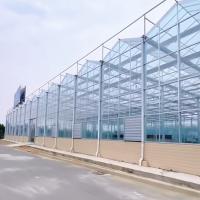 China Glass Greenhouse Hydroponic Vegetable System for Maximum Water Efficiency for sale