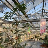 China Double Layer Glass Greenhouse Hydroponic System with Multi-Span Technology Integration for sale