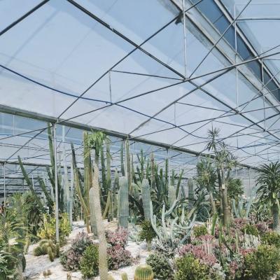 Cina Sistema idroponico di tetto per verdure in serra di vetro in vendita