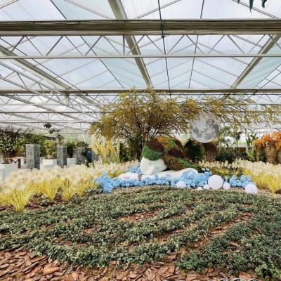 Cina Sistema idroponico di tetto per verdure in serra di vetro in vendita