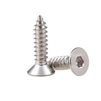 China Hex Countersunk Head Pointed Self-Tapping Micro Screws M0.5-M3.0 Precision Fasteners for sale