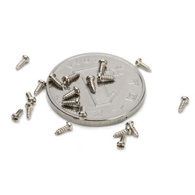 China M1-M3 Pan Head Phillips Self Tapping Mini Screws Stainless Steel for sale