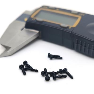 China Stainless Steel Black Oxide Torx PT Thread Mini Screw for Plastic for sale
