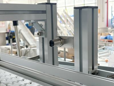 China 65mm Width Flexible Chain Conveyor Systems For Plastic Bottle for sale