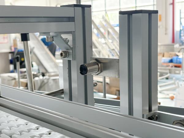 Quality 65mm Width Flexible Chain Conveyor Systems For Plastic Bottle for sale