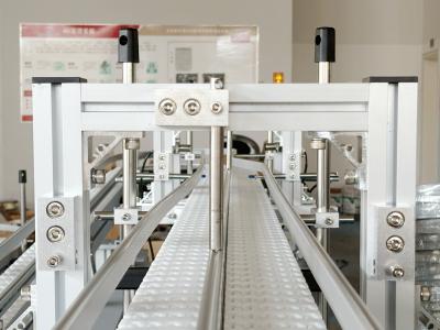 China 65mm Width Flexible Chain Conveyor Systems For Plastic Bottle for sale