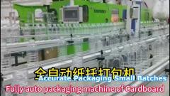 This equipment maintains high-standard packaging accuracy crucial for warehouse compliance and trans