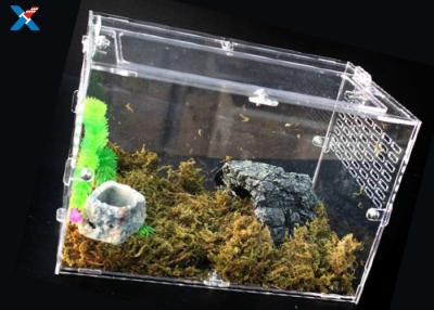 China Professional Acrylic Reptile Box , Pet Plexiglass Storage Box ROHS Certified for sale