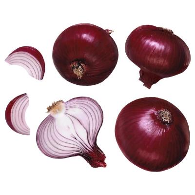 China Fresh Style Round Onion Whole Peeled with Best from Professional for sale