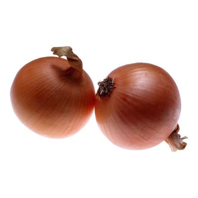 China Fresh Onion 25kg 25kg Onion for Kuwait Market Vegetables Instruction for sale