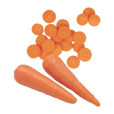 China Fresh carrot from China newest harvesting wholesale carrots price per ton for sale