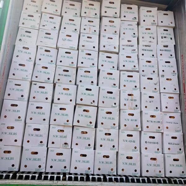 Quality Chinese New Crop Red Carrot Fresh and clean water washed Carrots fresh vegetable for sale
