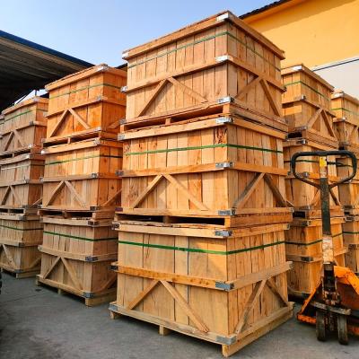 China Chinese Dried Ginger Year Round Supply of Pickled Ginger with 6 Months Shelf Life for sale