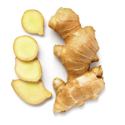 China Hot sale fresh ginger new crop supplied from professional ginger factory with good quality and price in China for sale