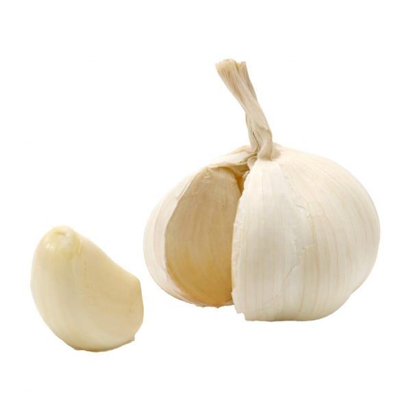 Quality Fresh Purple Peeled Garlic Supply Super White Garlic from Cold Storage at for sale