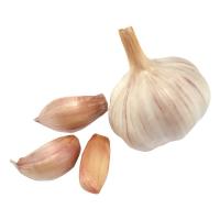 Quality 2023 Fresh Chinese peeled Garlic Cloves with long life 1kg vacuum bag for for sale