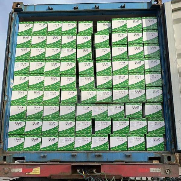 Quality Garlic normal white garlic purple color packed by mesh bag or loose box for new for sale