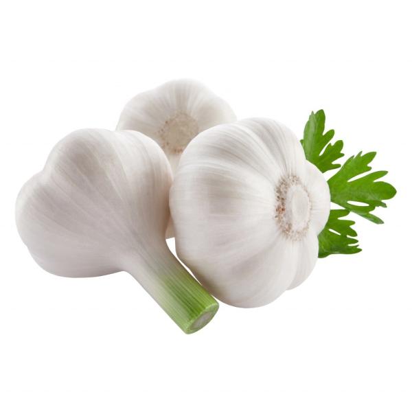 Quality Bigger size elephant garlic organic dry garlic to South America for sale