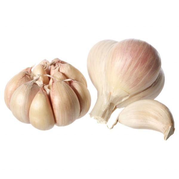 Quality dark garlic price Wholesale peeled garlic from China exporting for Holland for sale