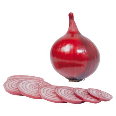 China New Fresh Red and Yellow onions fresh for cold storage for sale