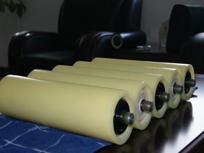 China Dia 127 mm uhmwpe material belt conveyor for food material for sale