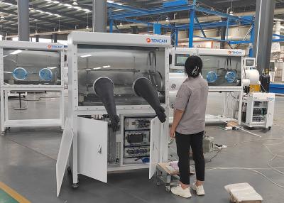 China TENCAN Lab Equipment Supplier GBP750S-2 (1200) Inert Gas Glovebox Lab Glove Box with Purification System for sale
