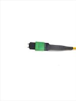 Quality Female To LC MPO Patch Cord 8 12 16 24 Core Fiber Optic Patch Cords for sale