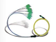 Quality MPO Patch Cord Fanout Fiber Optic Connectivity 850nm 1310nm MTP Fanout Cable for sale