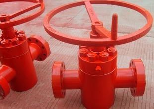 China Wellhead 2-9/16
