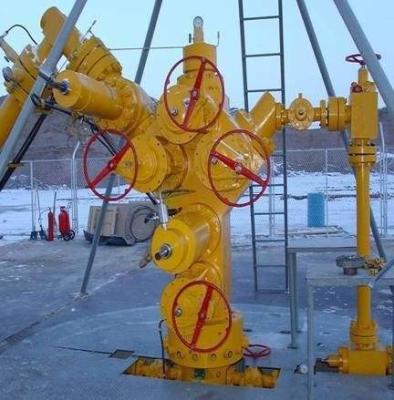 China API 6A Wellhead 2-1/16
