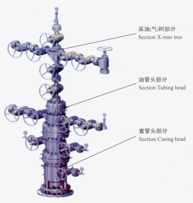 China Well Drilling API 6A 2-1/16