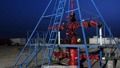 China API 6A Wellhead 2-1/16