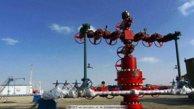 China API 6A Wellhead 2-9/16
