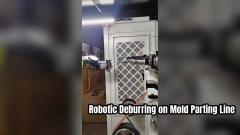 Robotic Precision Deburring Equipment for Die-Cast Aluminum Alloy Housings