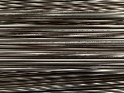 Cina Tubo austenitico senza cuciture e saldato ASTM A213 TP316 dell'acciaio inossidabile in vendita