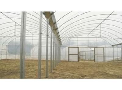 China 16Mn / 20MN2 ERW Carbon Steel Structural Pipe / ERW Welded Tubes For Agricultural Greenhouse for sale