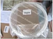 China Replacement parts of Komatsu Seal Ring 154-15-22821 for sale