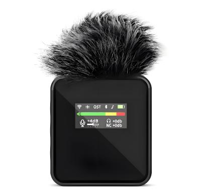 中国 Equipped With Two People Explaining At The Same Time And Imported LLC Noise Reduction Chip 販売のため