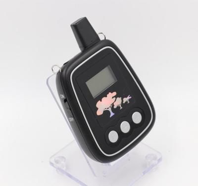 China 860 - 870 Frequência Audio Guia de Excursão Equipamento com Bateria de Leão 2 anos de garantia à venda