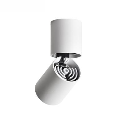 China Europe Standard Phase Out Dimmable 4 wires 3 phase track 28w led showcase spotlight for sale