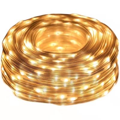 China Outdoor Waterproof Christmas Lights RGB LED Light String with Remote Controller for sale