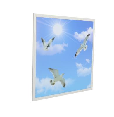 China Commercial Office Ceiling 6060 600x600 600*600 36W 40W 48W Back Light Backlit Lamp LED Panel Light for sale