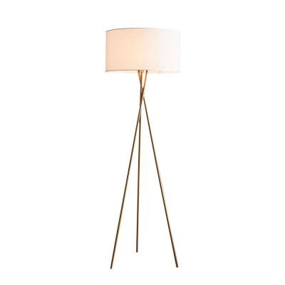 China Living Room Sofa Coffee Table Bedroom Bedside Study Room Remote Control Creative Tripod Standing  E27 Metal Floor Lamp for sale