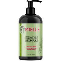 Quality Biotin Enriched Rosemary Mint Hair Regrowth Shampoos Deep Cleansing for Fragile for sale
