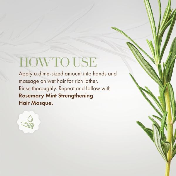 Quality Biotin Enriched Rosemary Mint Hair Regrowth Shampoos Deep Cleansing for Fragile for sale