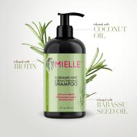 Quality Purify Clarifying Rosemary Mint Shampoo Infused For Weak Brittle Hair OEM for sale