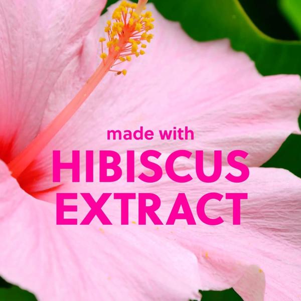 Quality Tree Hut Pink Hibiscus Shea Sugar Scrub Exfoliating Body Scrub Butter 18oz In for sale
