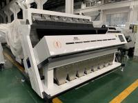 China Coffee Beans Color Sorter machine Self-learning function with automatic image identification function and user friendly for sale